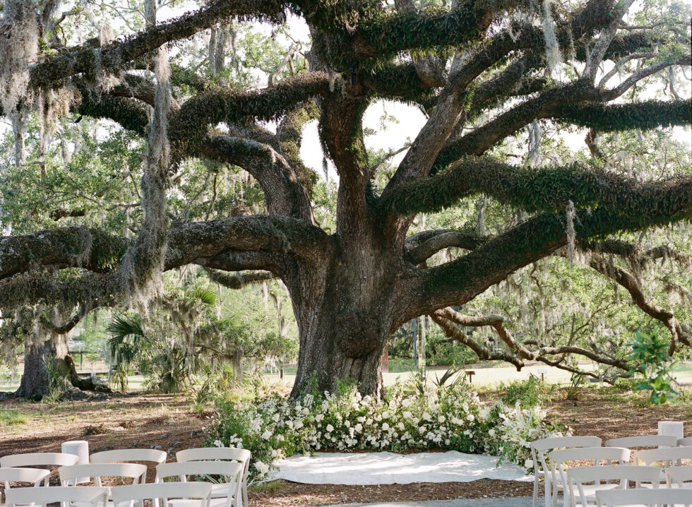 Dinner Under The Stars at NoMA | Wedding Rendering - Concept Wedding ...