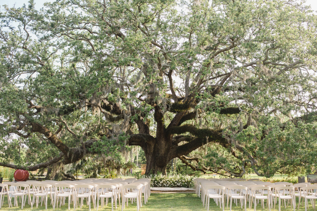 Dinner Under The Stars at NoMA | Wedding Rendering - Concept Wedding ...