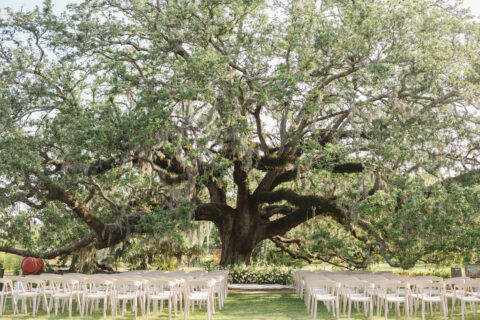 Dinner Under The Stars at NoMA | Wedding Rendering - Concept Wedding ...